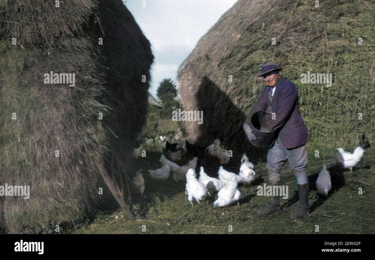 An English farmer feeds his hens in between some haystacks. Colourised ...