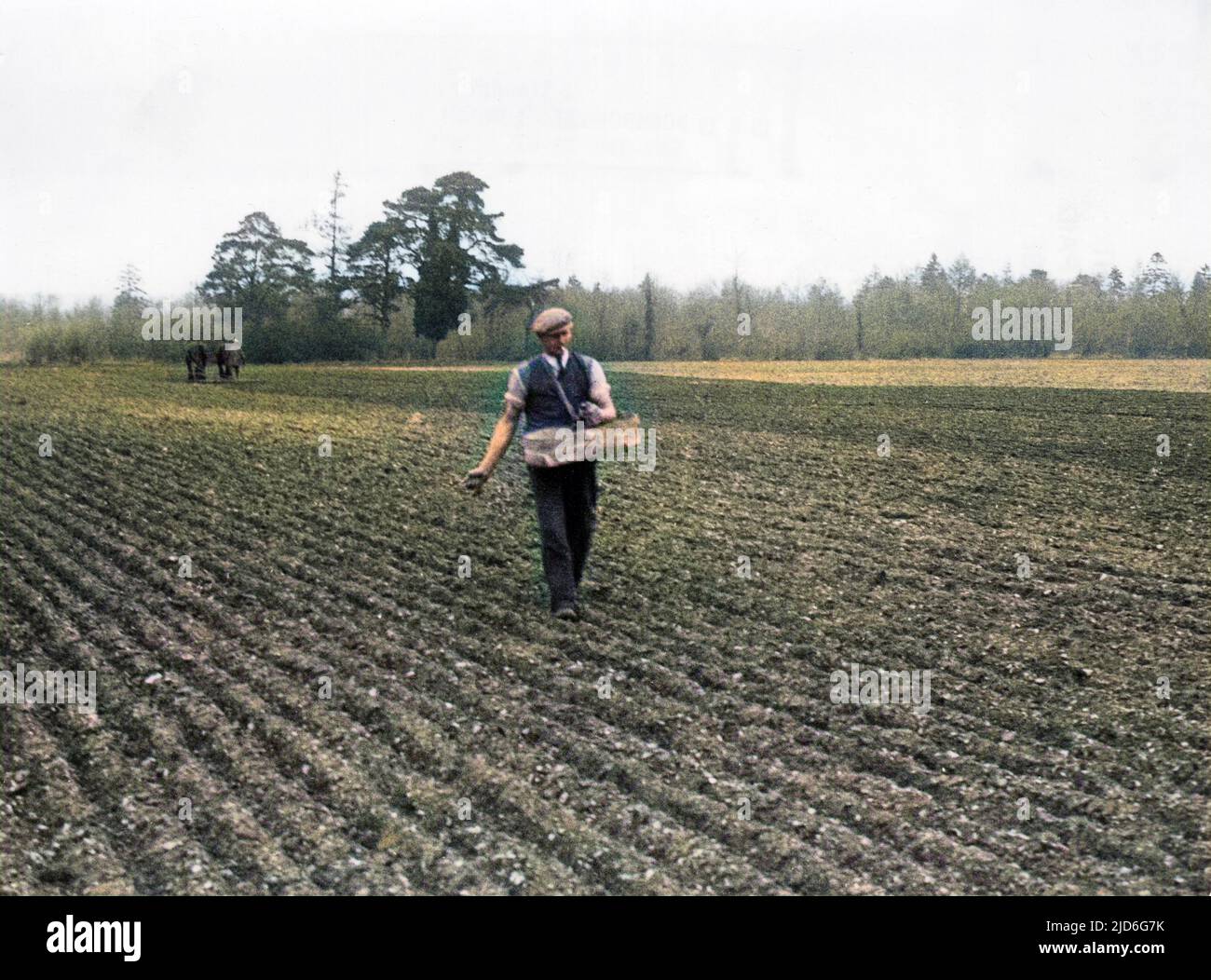 Farmer sowing seeds by hand hi-res stock photography and images - Alamy