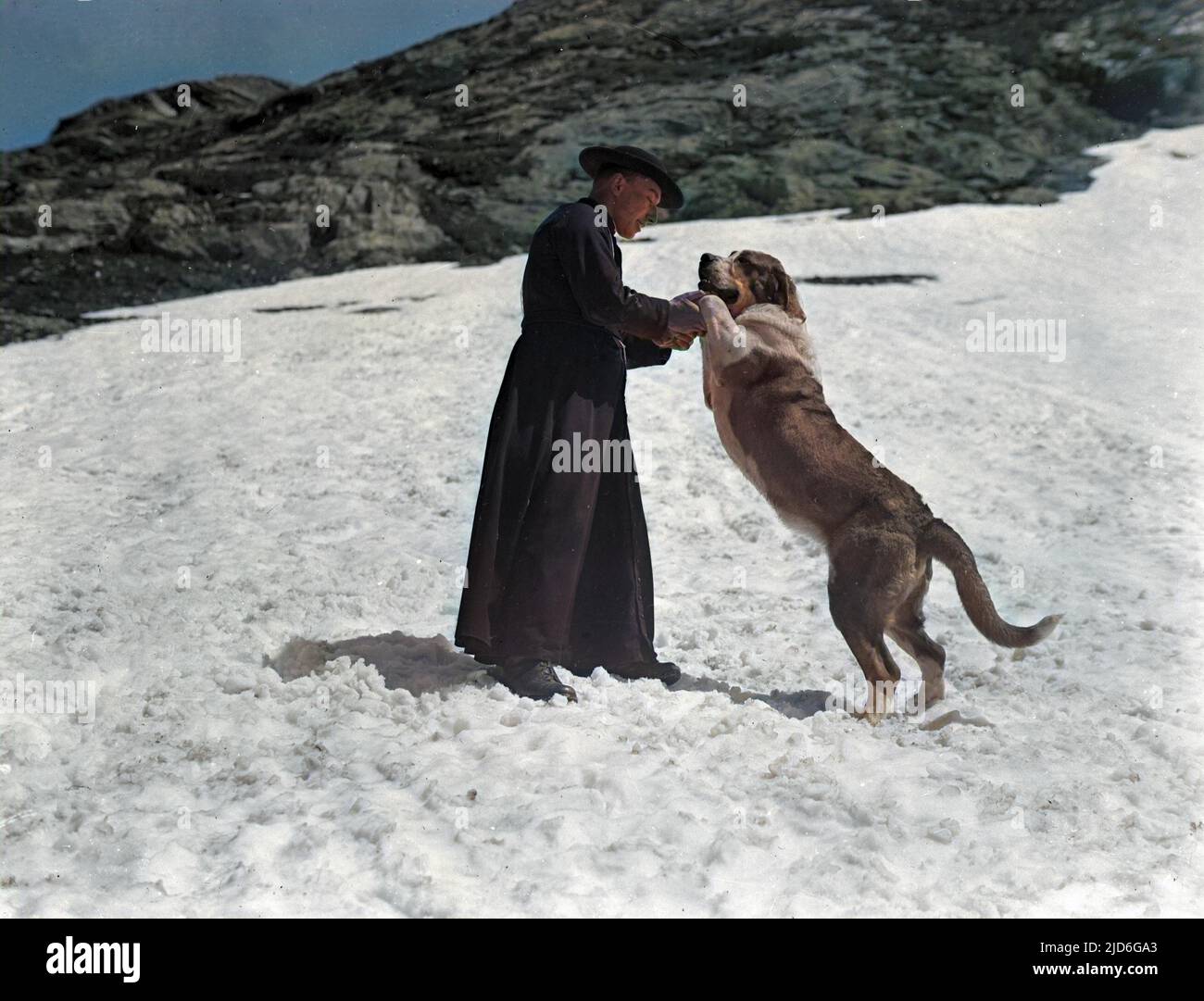 A monk playing with a St. Bernard dog in the snow at a St. Bernard ...