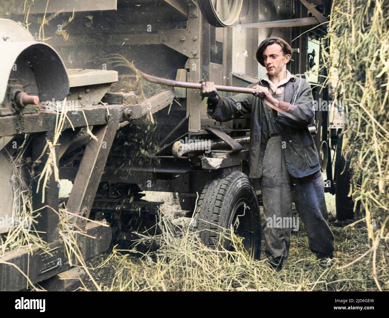 Threshing on a British farm : here a workman is putting some split ...