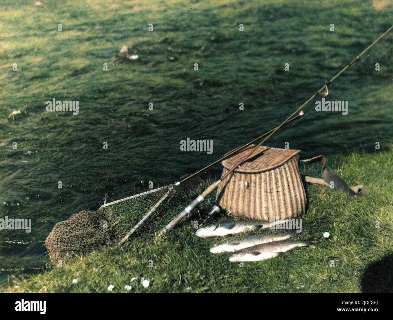Trout fishing 1950s hi-res stock photography and images - Alamy