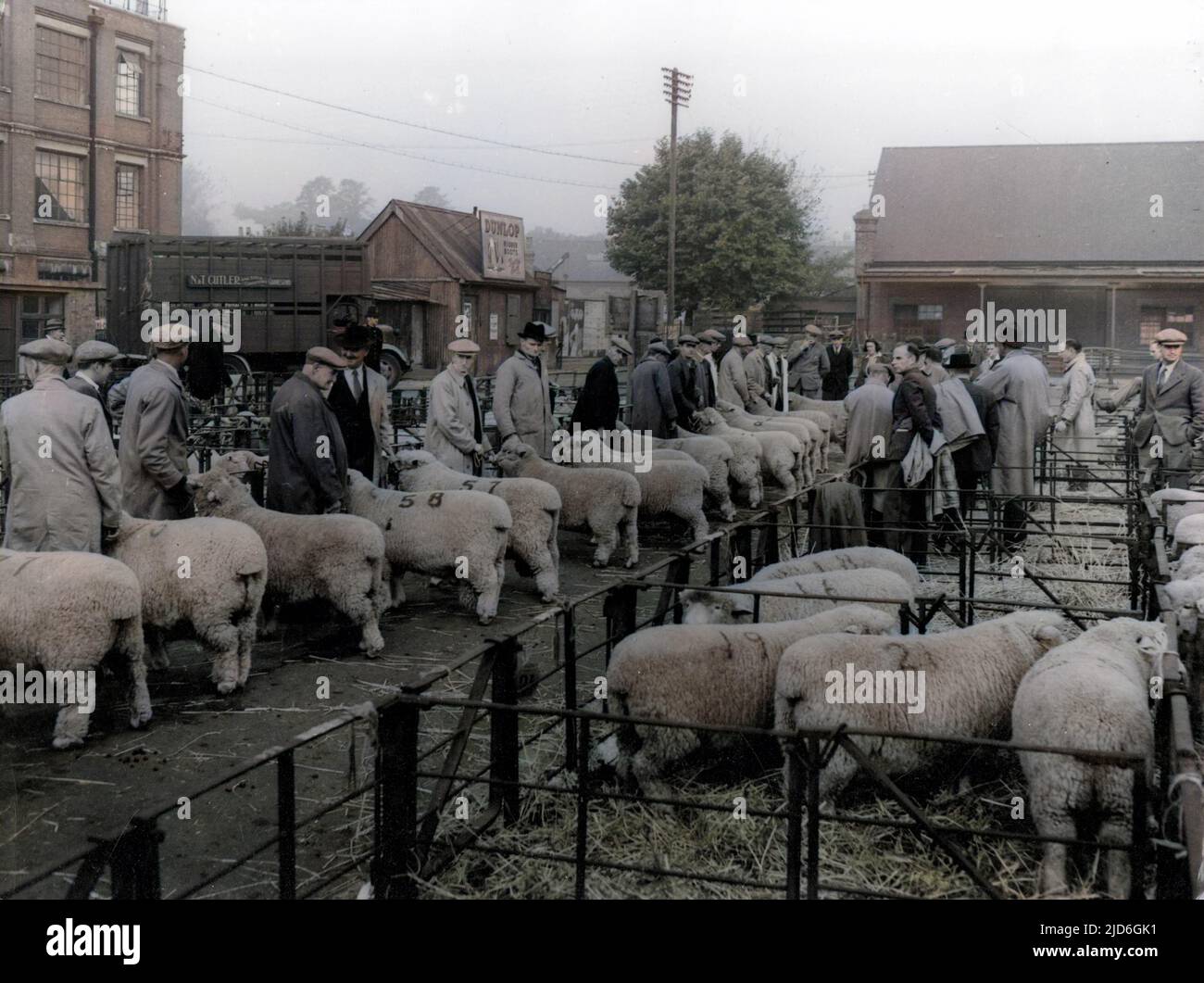 Farmers in the Sales Ring of a sheep market at Maidstone, Kent, England ...