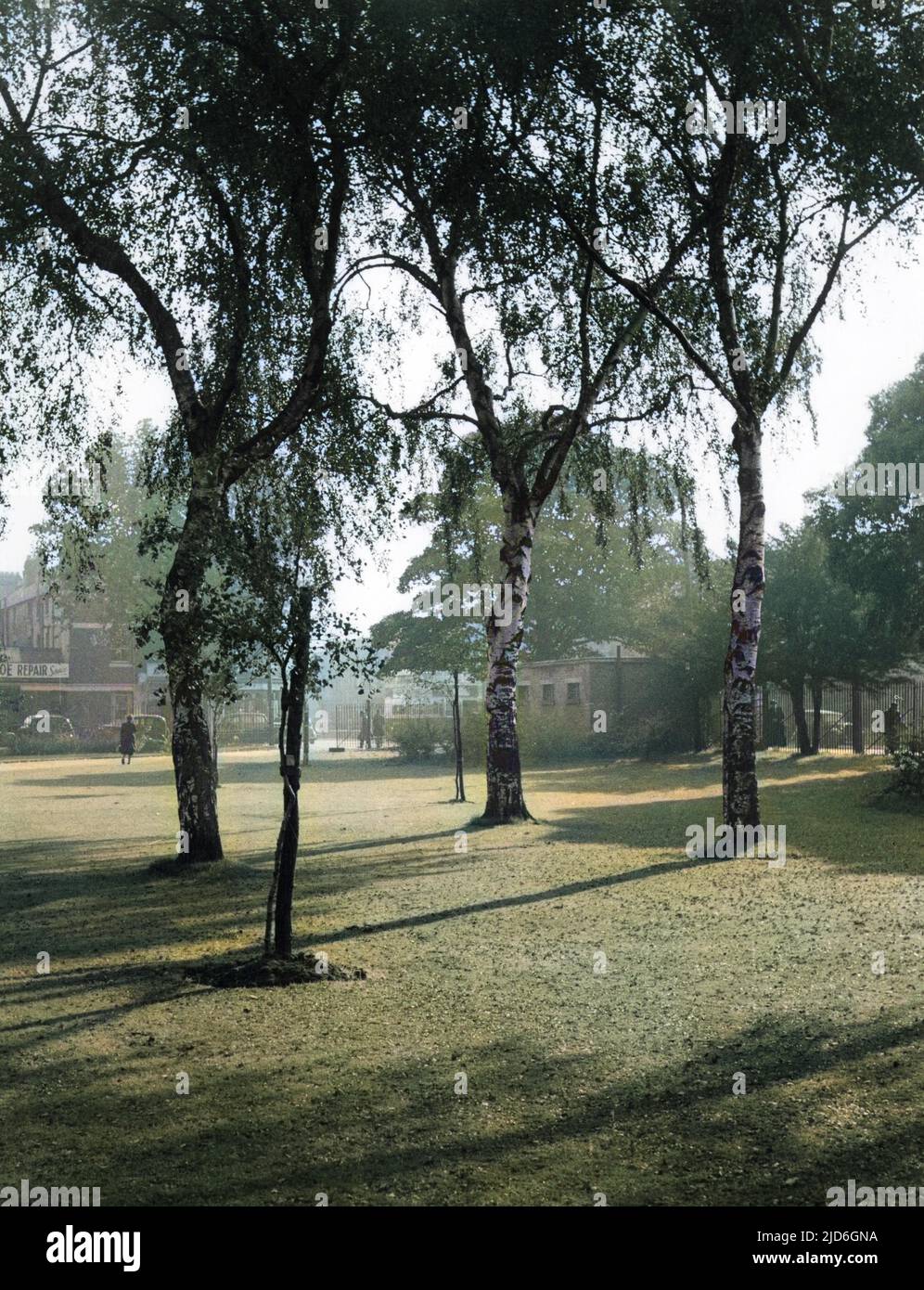 A picturesque glimpse of Victoria Park, one of the fine open spaces in ...