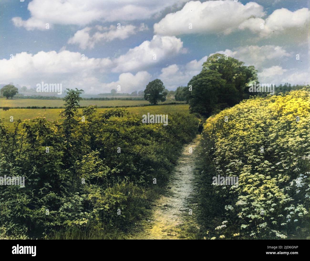 The pilgrims way kent hi-res stock photography and images - Alamy