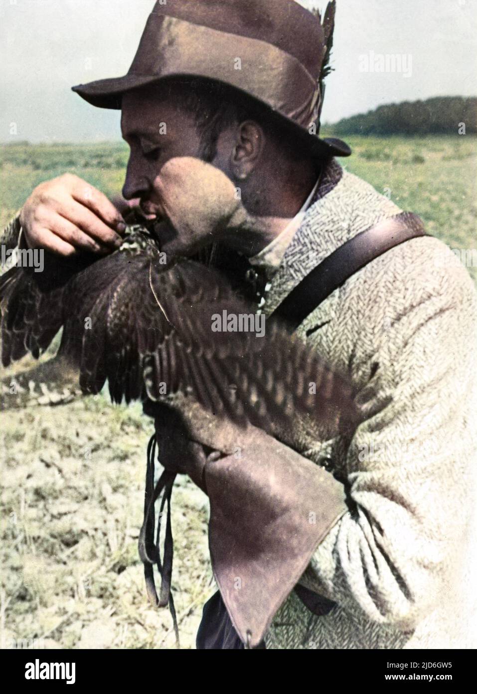 The falconer gently feeds the bird from his mouth. Colourised version ...