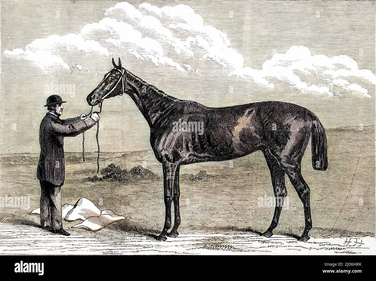 Hermit', the horse which won the Epsom Derby in 1867. Colourised ...