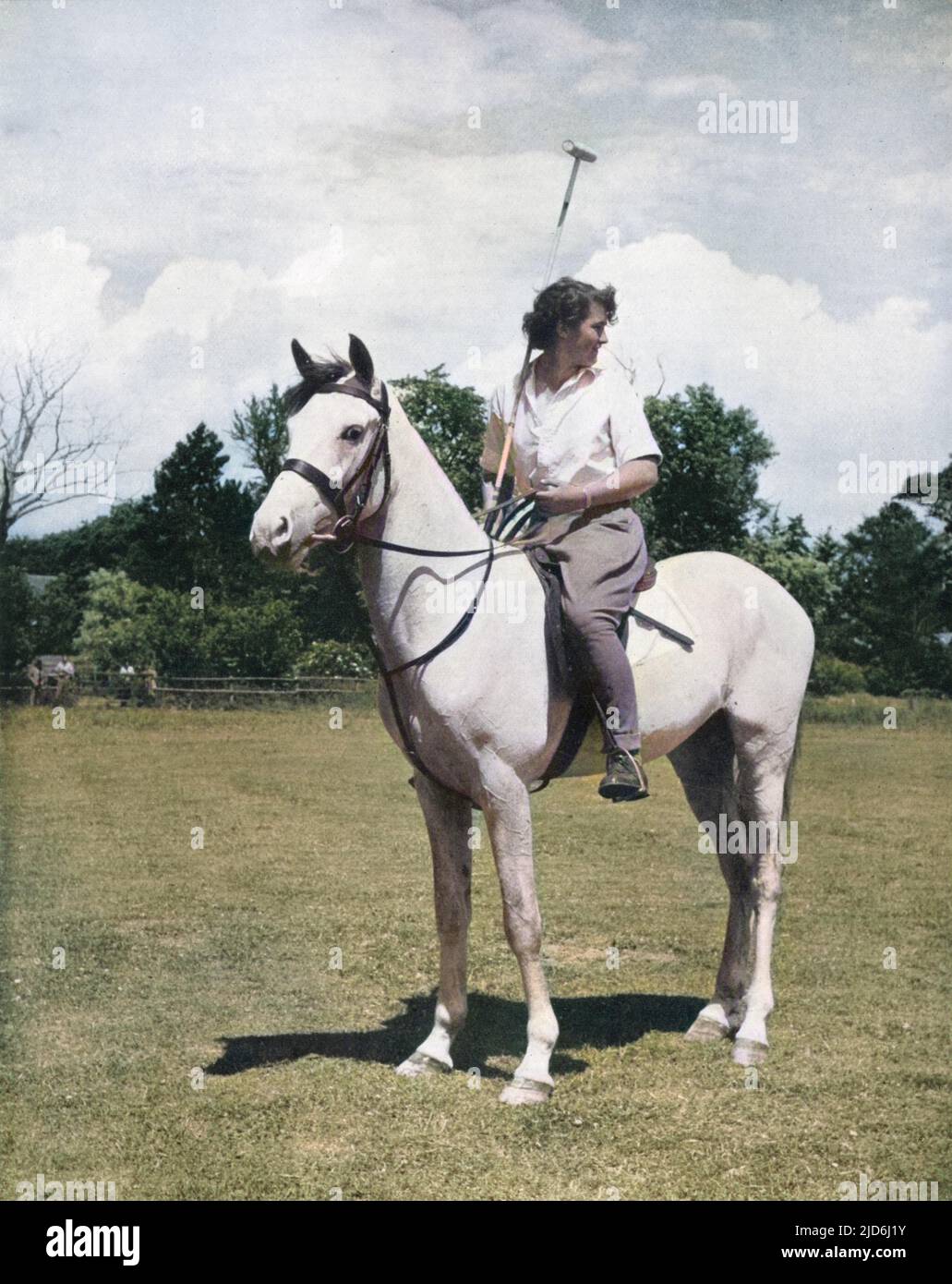 An Arab polo pony, named Ali Baba, with rider Audrey Haines. Colourised ...