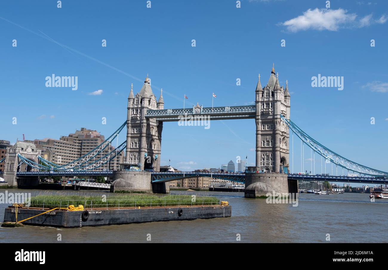The iconic Tower bridge in London,UK Stock Photo - Alamy
