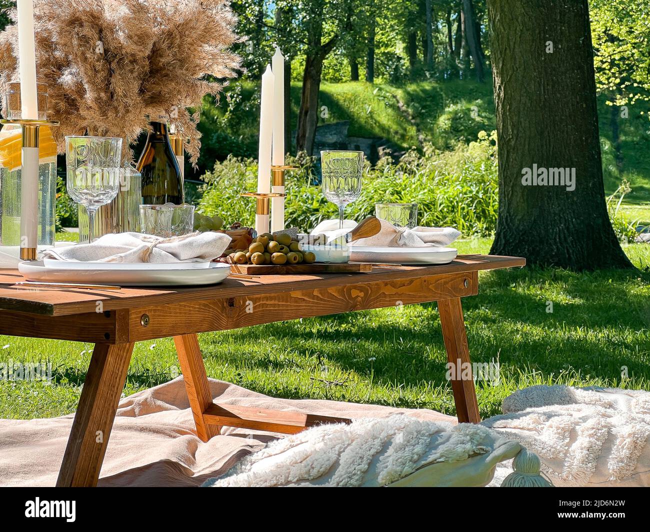 Beautiful picnic table with a wine, snacks and fruits in a beautiful ...