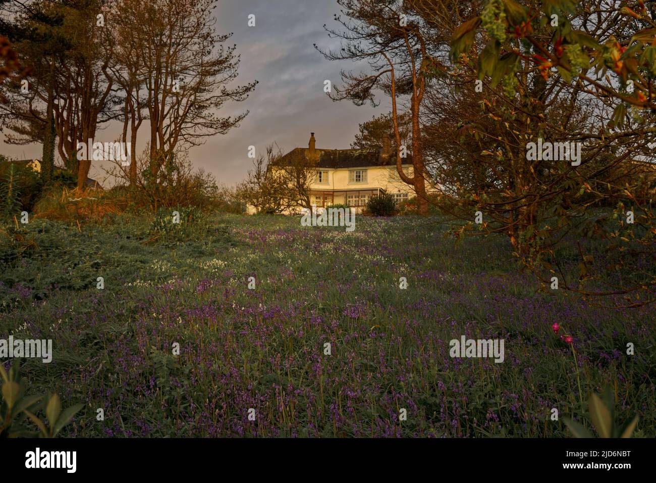 Bream cove Cornwall sunrise Stock Photo - Alamy