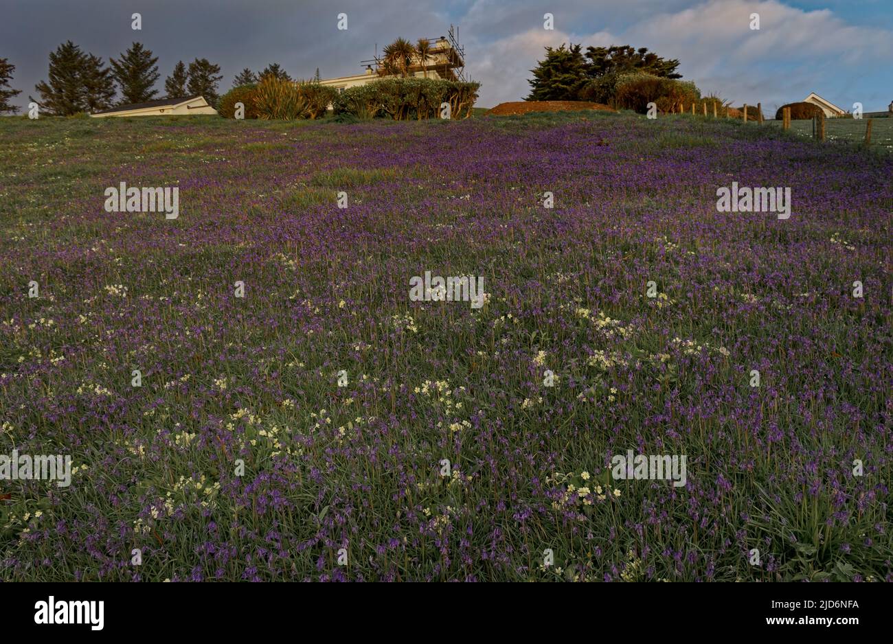 Bream cove Cornwall sunrise Stock Photo - Alamy