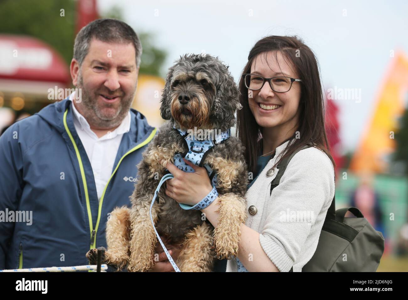 Pool balls in pack hi-res stock photography and images - Alamy