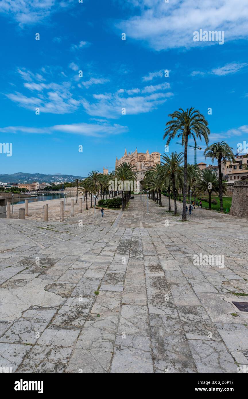 Palma lake hi-res stock photography and images - Alamy