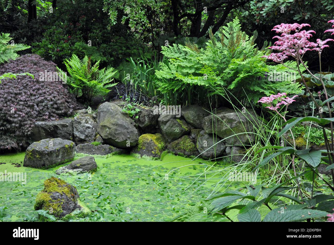 Cool spring hi-res stock photography and images - Alamy