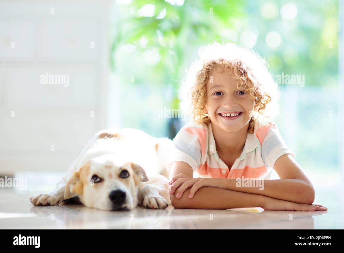 Child playing with dog. Kid and puppy play at home. Little boy hugging ...