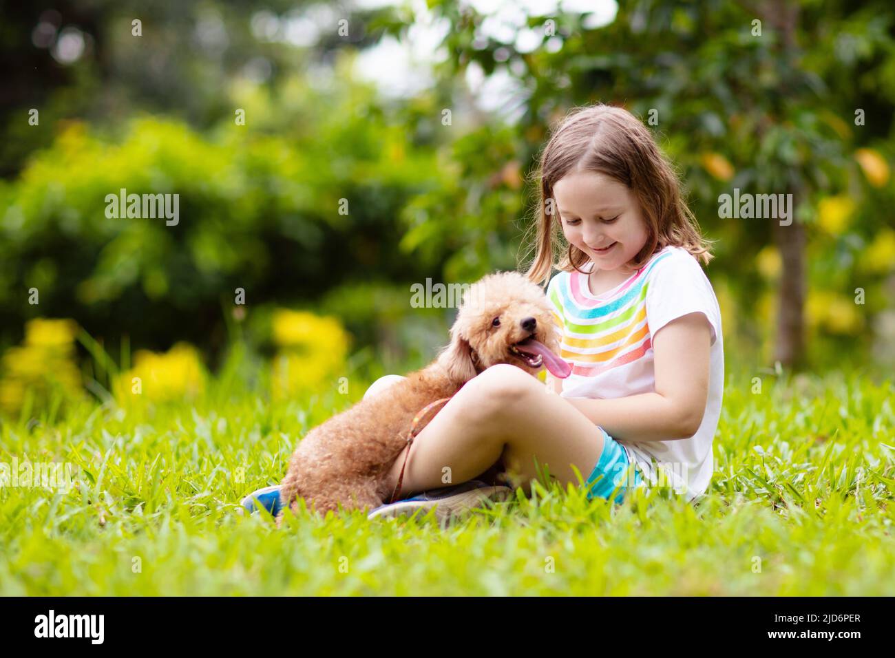 Kids play with cute little puppy. Children and baby dogs playing in ...