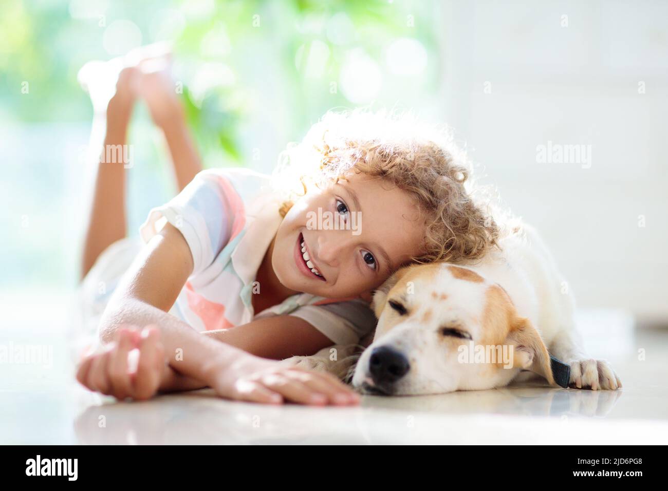 Curly boy and puppy hi-res stock photography and images - Alamy