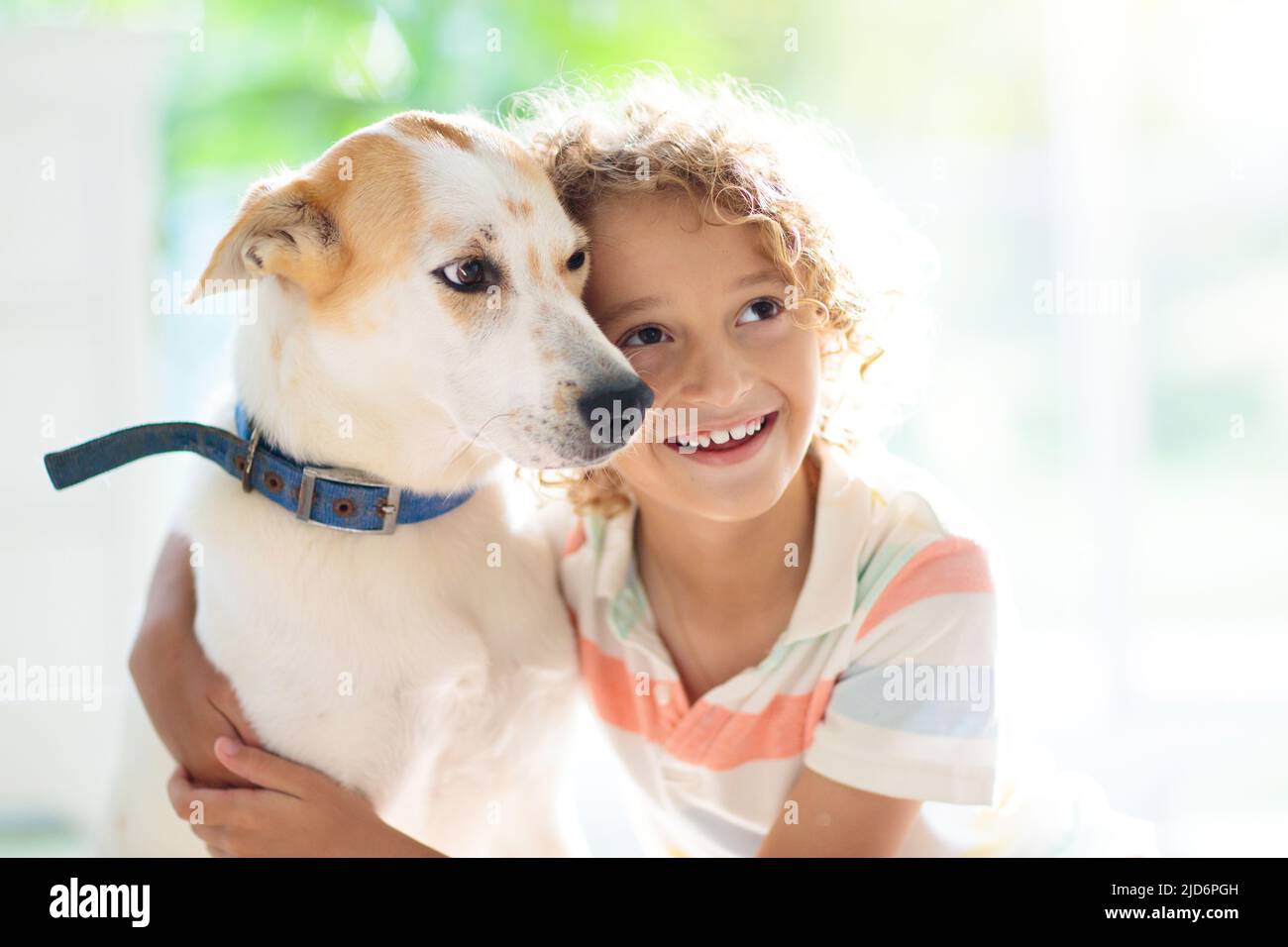 Curly boy and puppy hi-res stock photography and images - Alamy