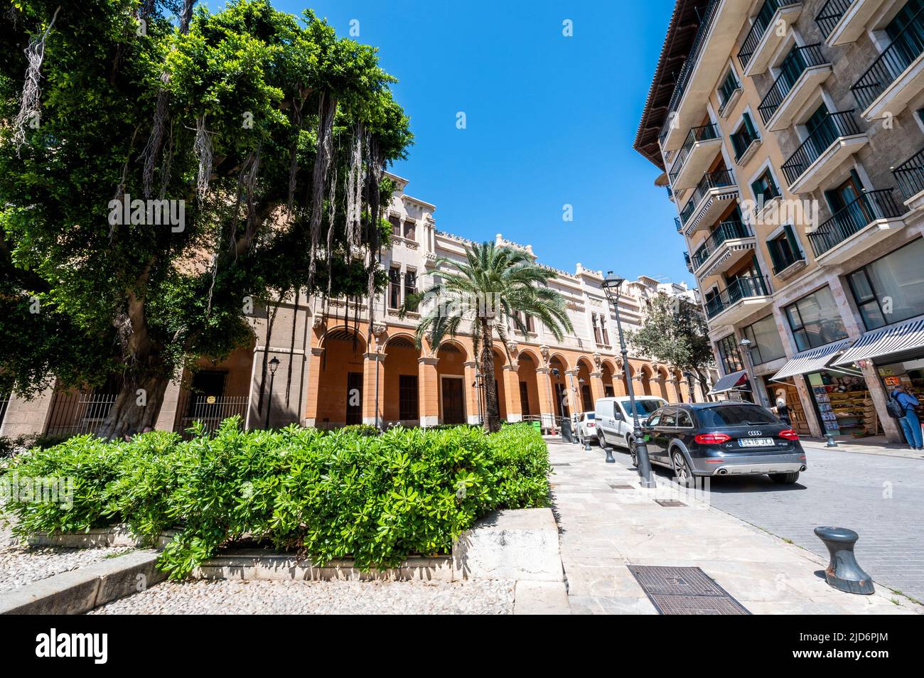 Highlights at natural history hi-res stock photography and images - Alamy