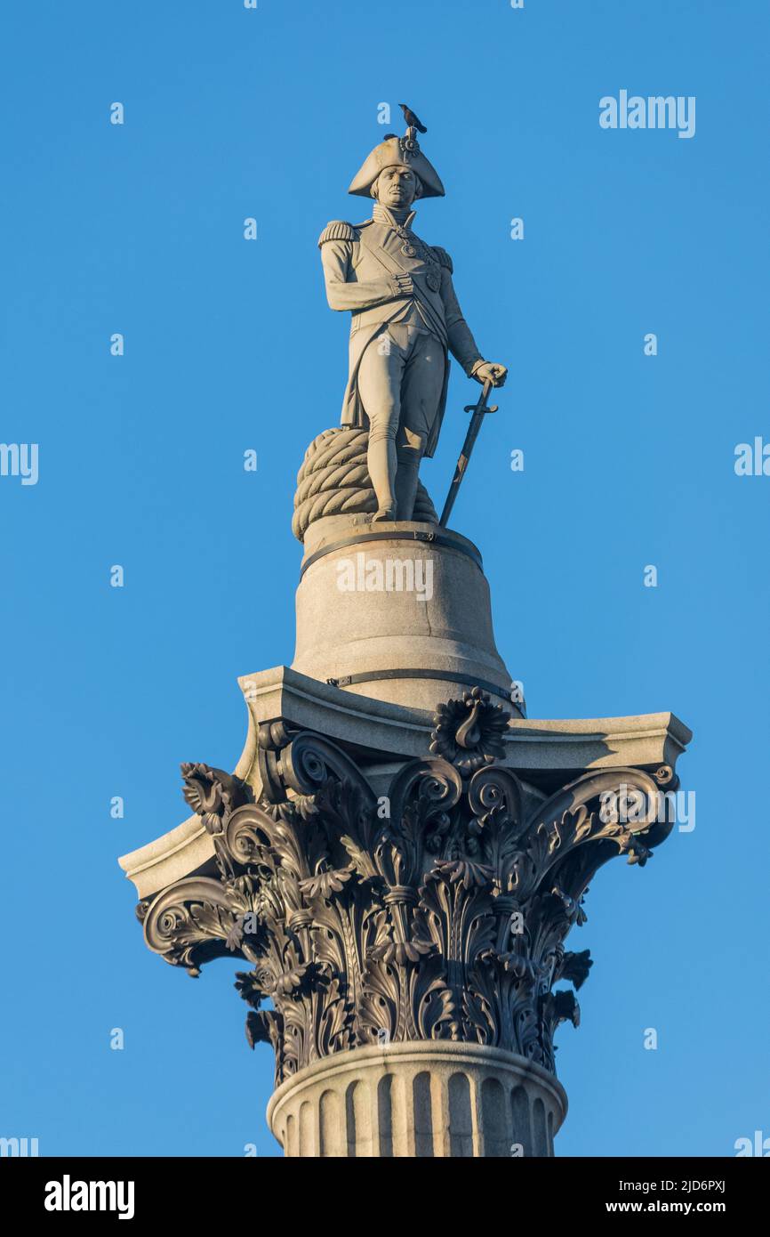Nelson's Column, Trafalgar Square, London, England, UK Stock Photo - Alamy