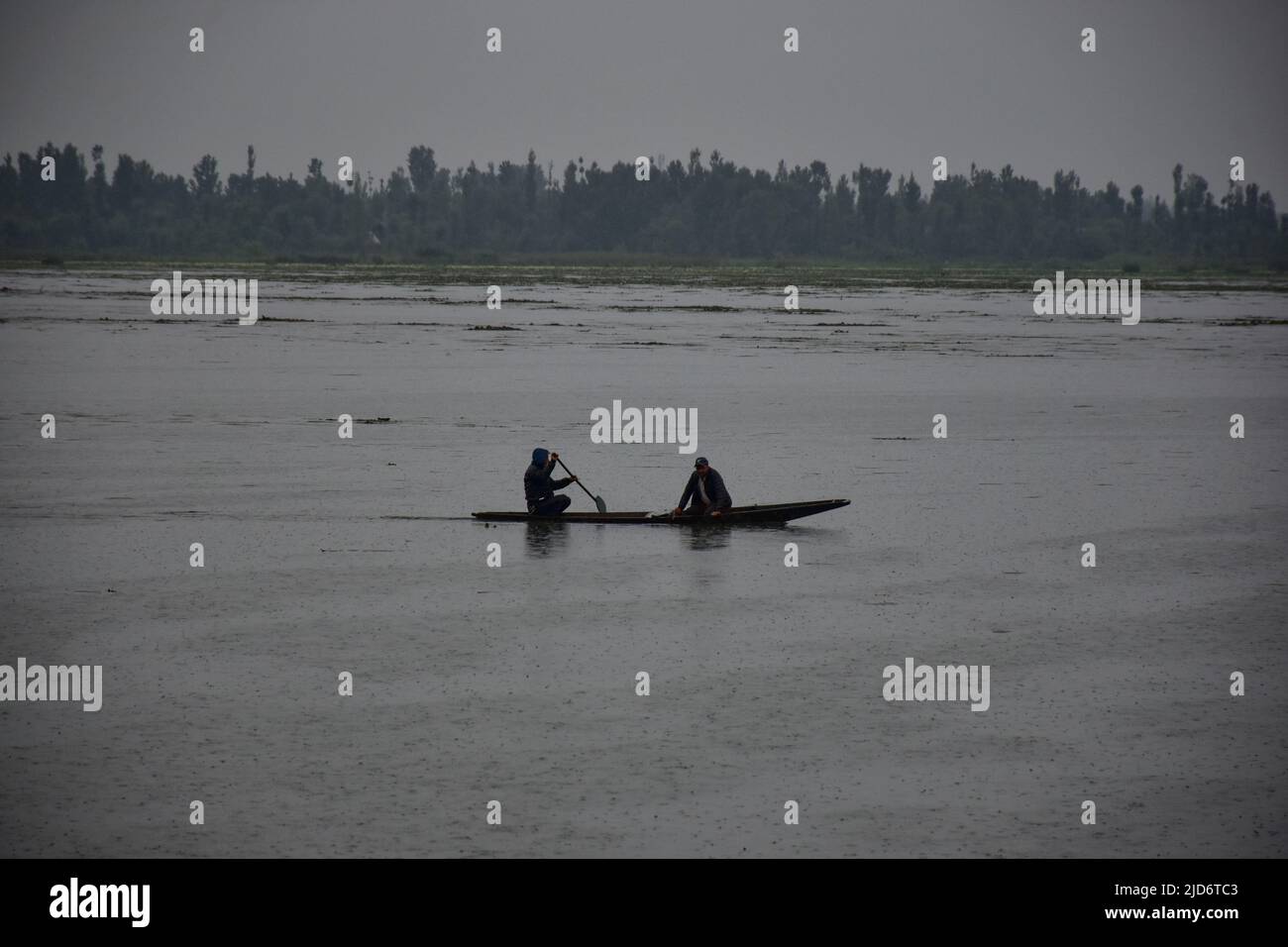A boatman ferries a passenger across the Dal lake during rainfall in ...
