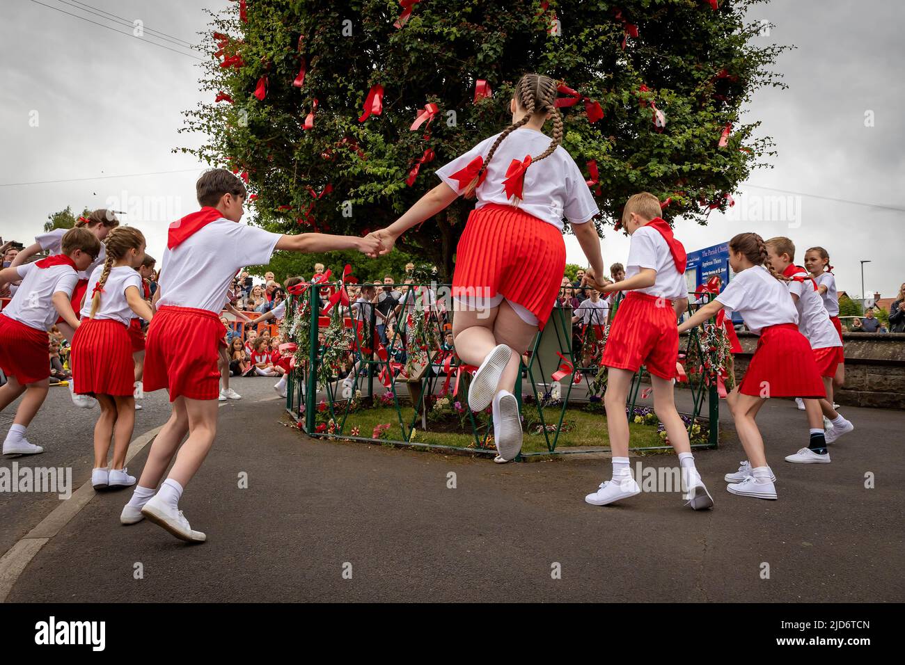 Thorn tree at appleton thorn hi-res stock photography and images - Alamy