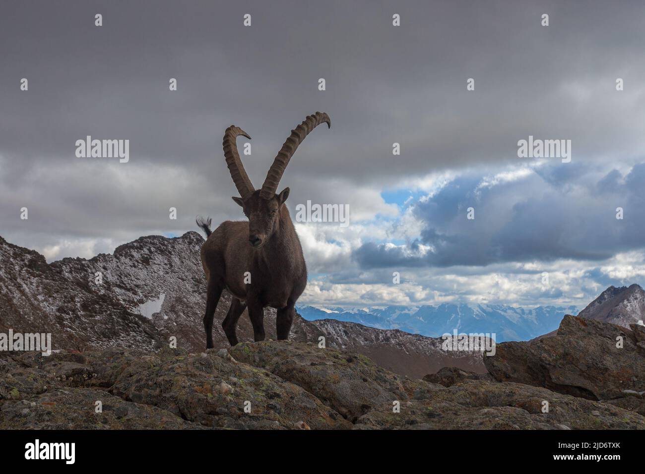 The mountain ortles hi-res stock photography and images - Alamy
