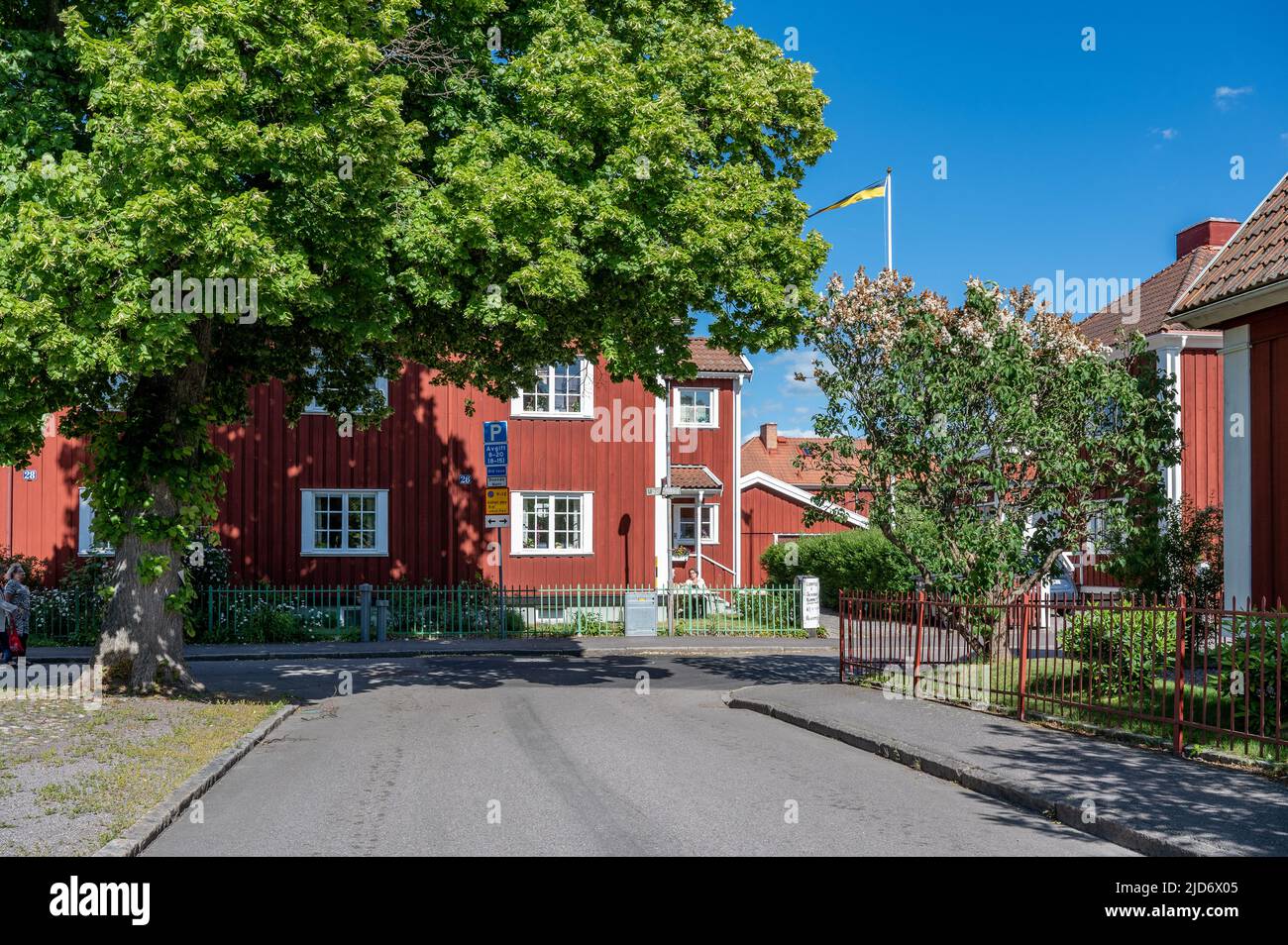 Annual Cultural Tour held for the tenth time in Red Town district of ...