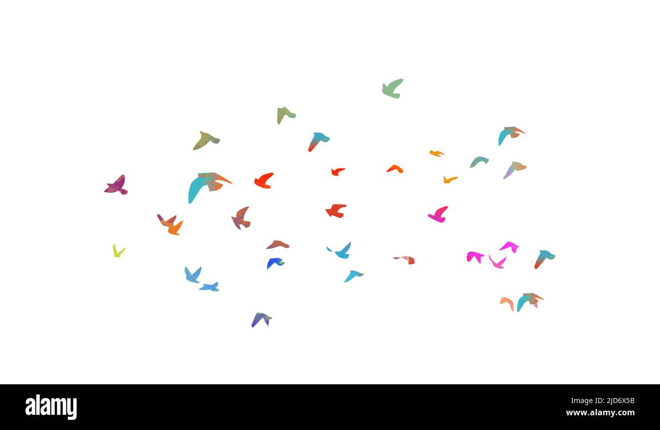 Multi-colored birds. A flock of flying rainbow birds. Vector ...