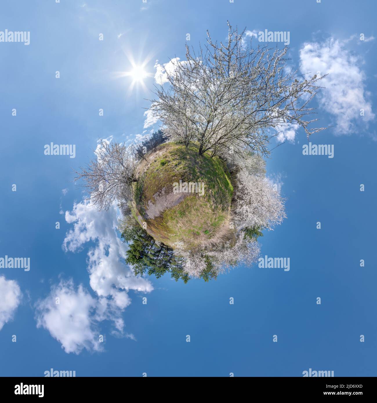 spring tiny planet transformation of spherical panorama 360 degrees ...