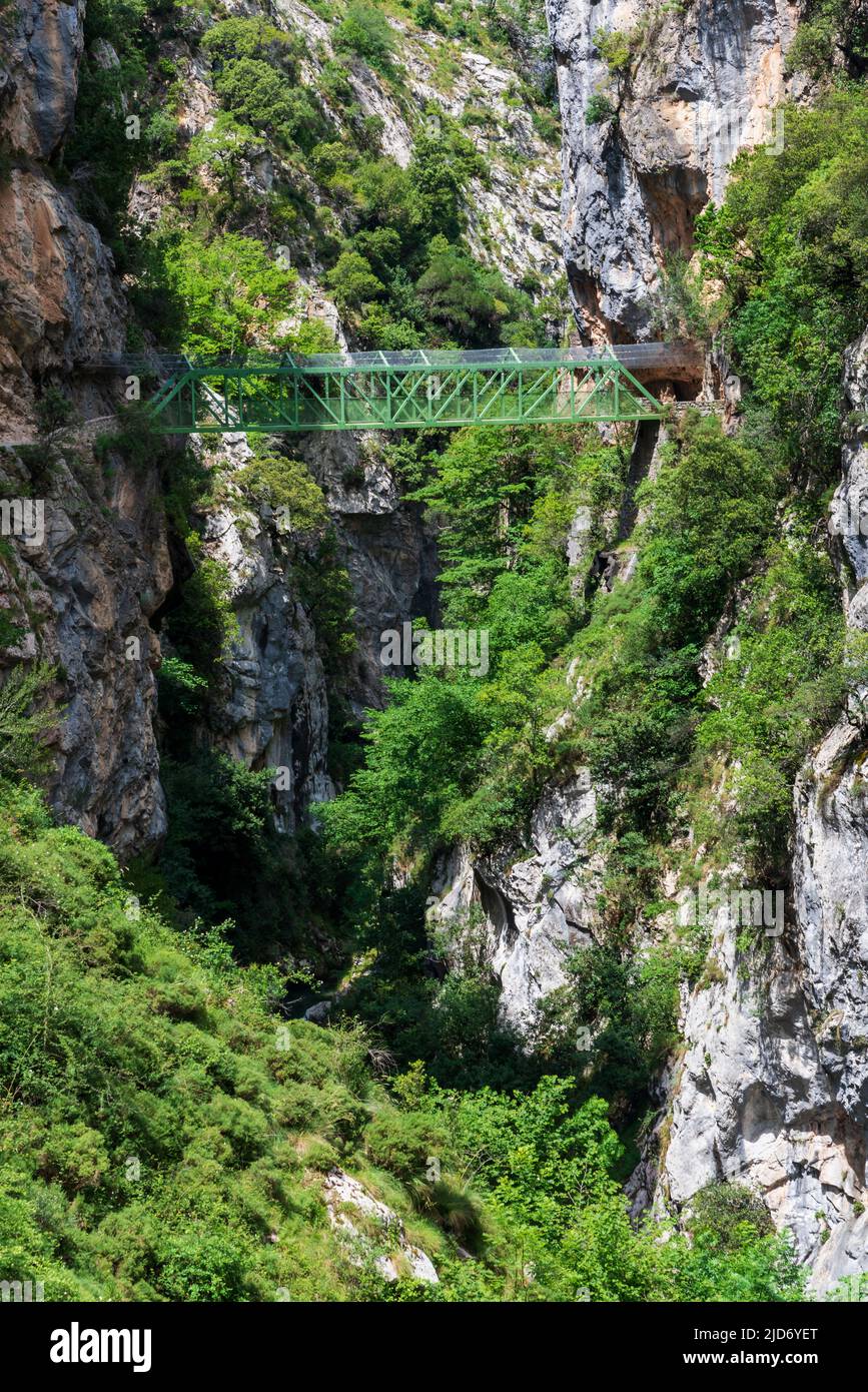 Path of the Cares river, Chamois bridge, built to cross the river in a ...
