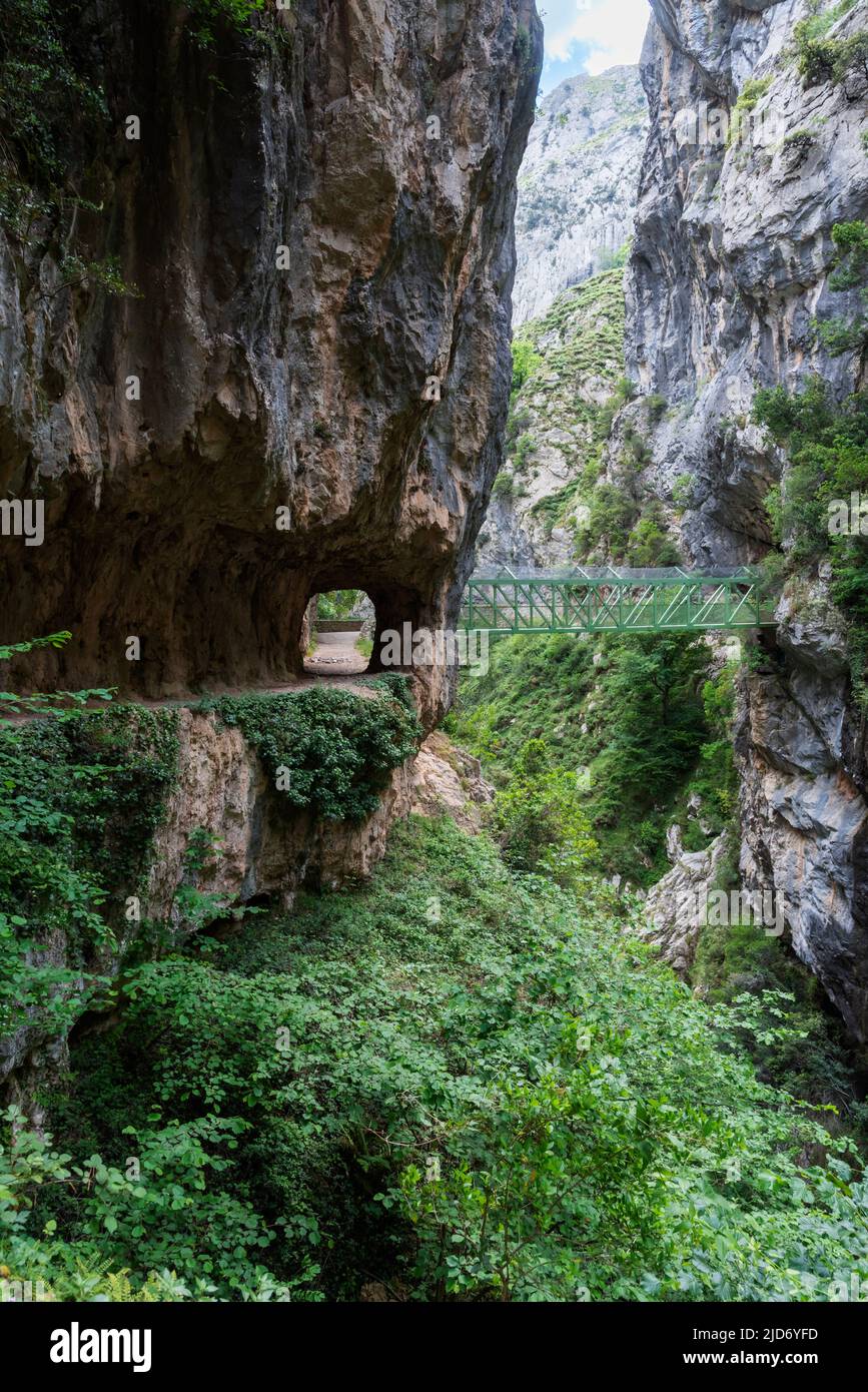 Path of the Cares river, Chamois bridge, built to cross the river in a ...