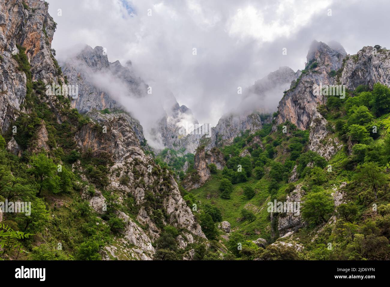 Picos de Europa, in the Cares river gorge Stock Photo - Alamy