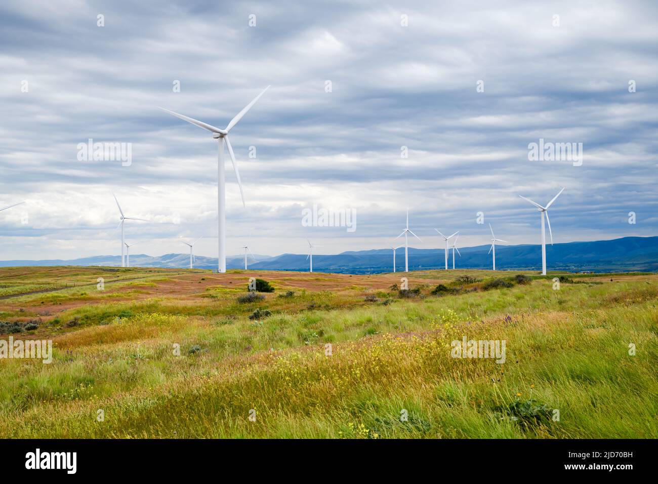 Wind turbines tower over grassland as they generate power under a gray ...