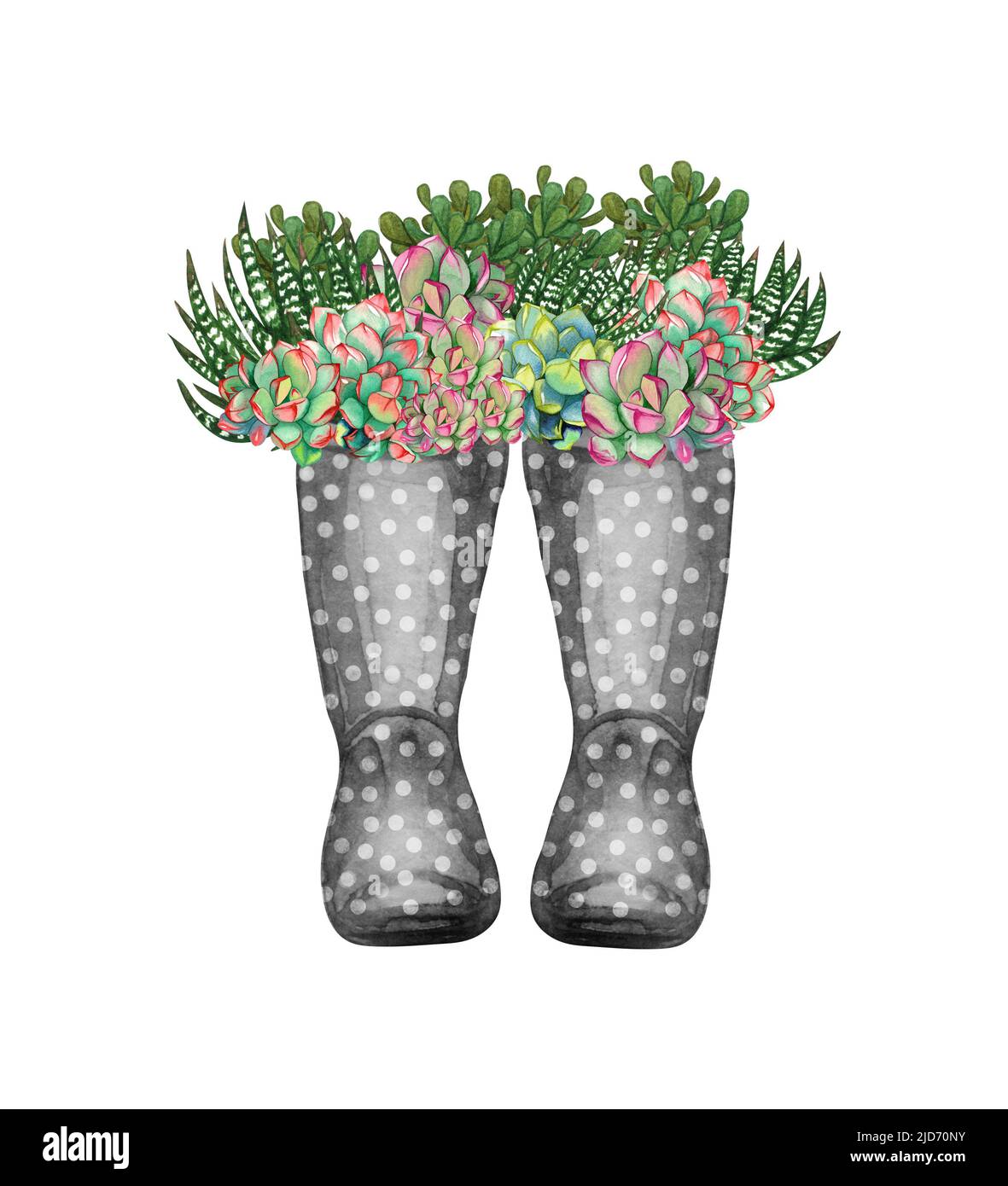 Watercolor wellies with flowers illustration in provence style. Rubber ...