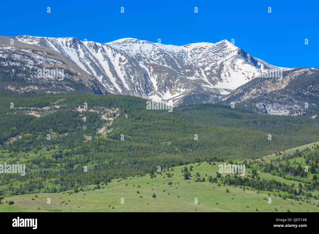 Anaconda range hi-res stock photography and images - Alamy