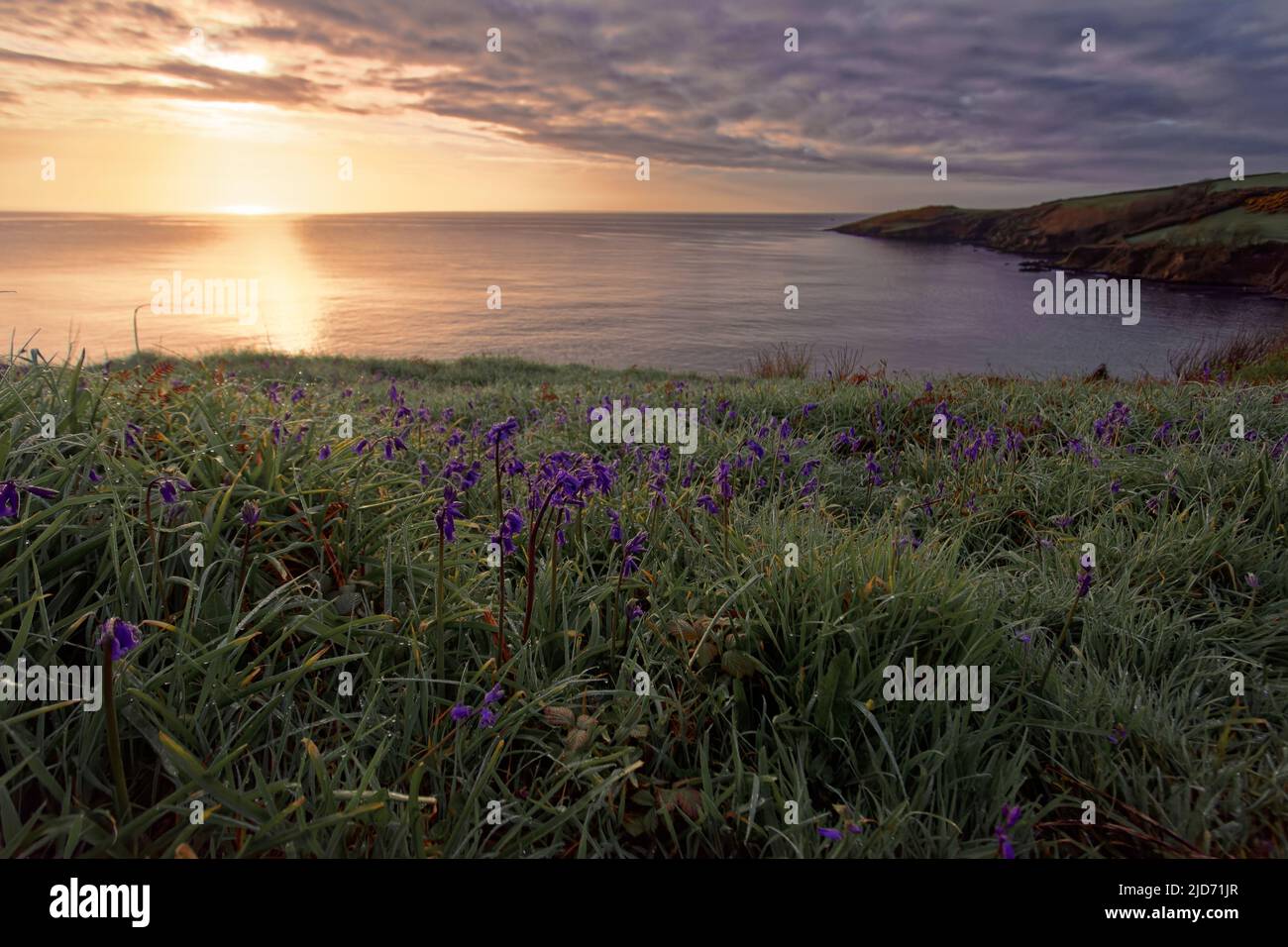 Bream cove Cornwall sunrise Stock Photo - Alamy