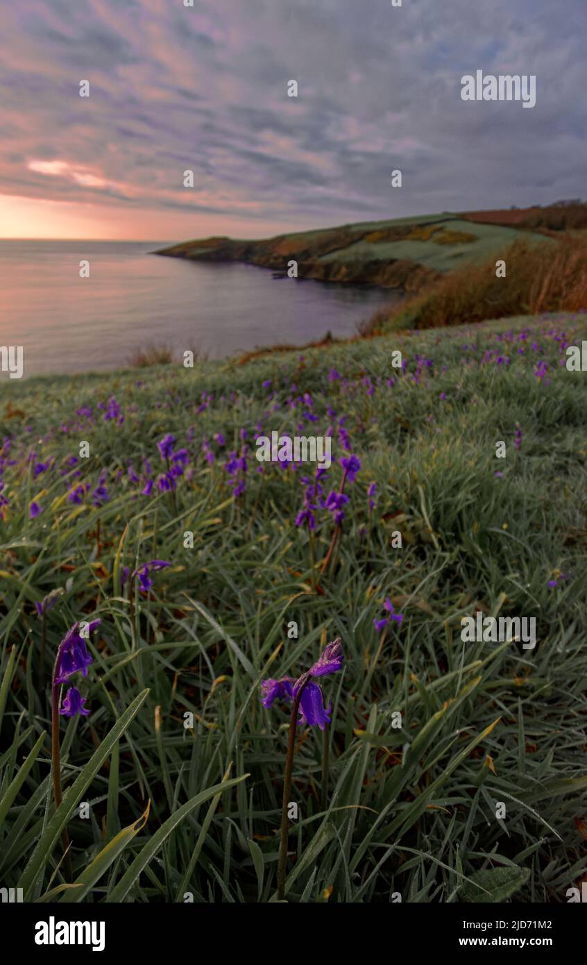 Bream cove Cornwall sunrise Stock Photo - Alamy