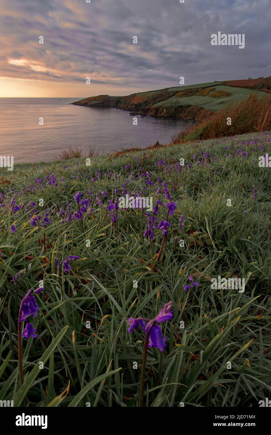 Bream cove Cornwall sunrise Stock Photo - Alamy