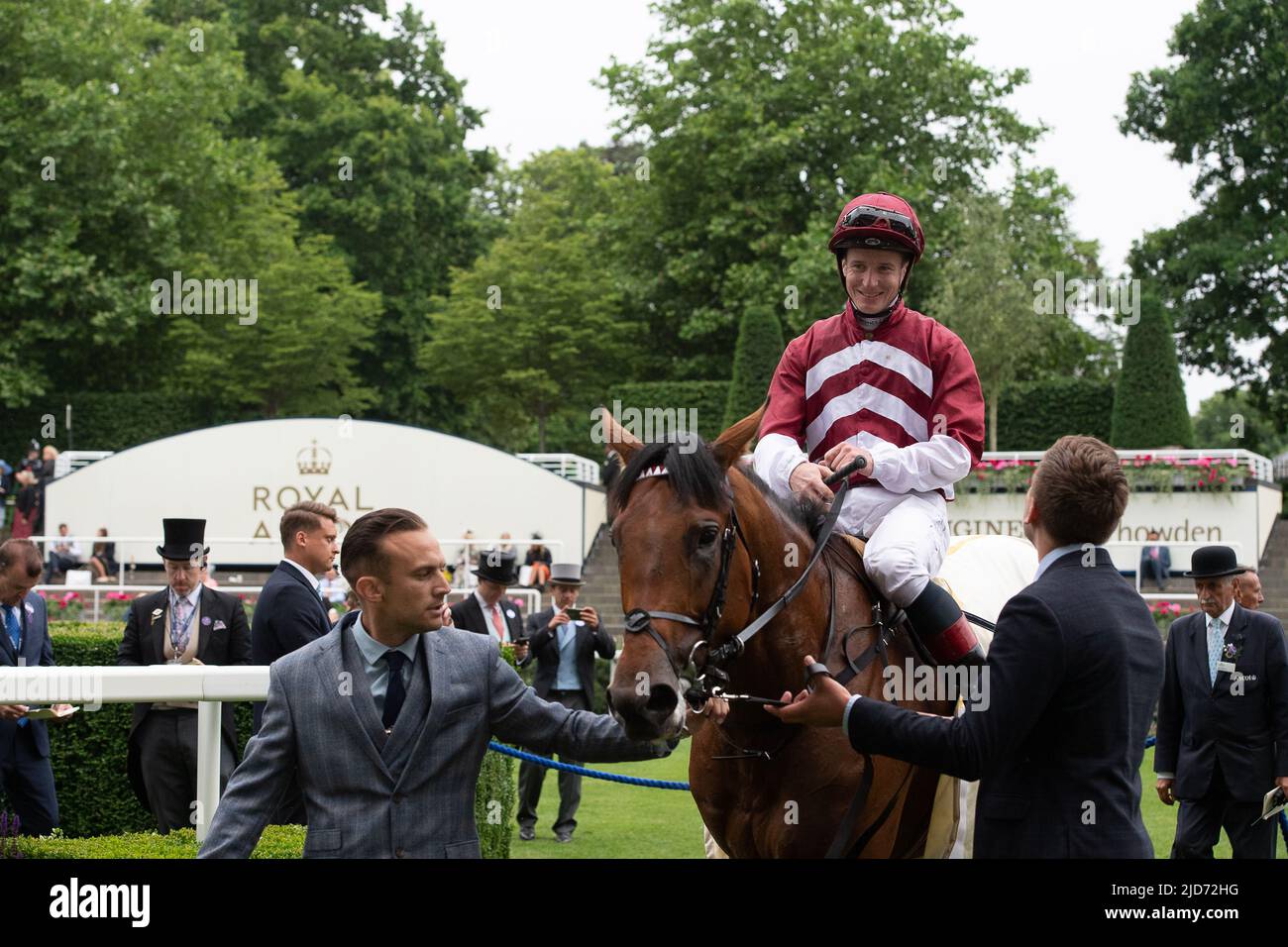 Boughey horse hi-res stock photography and images - Alamy