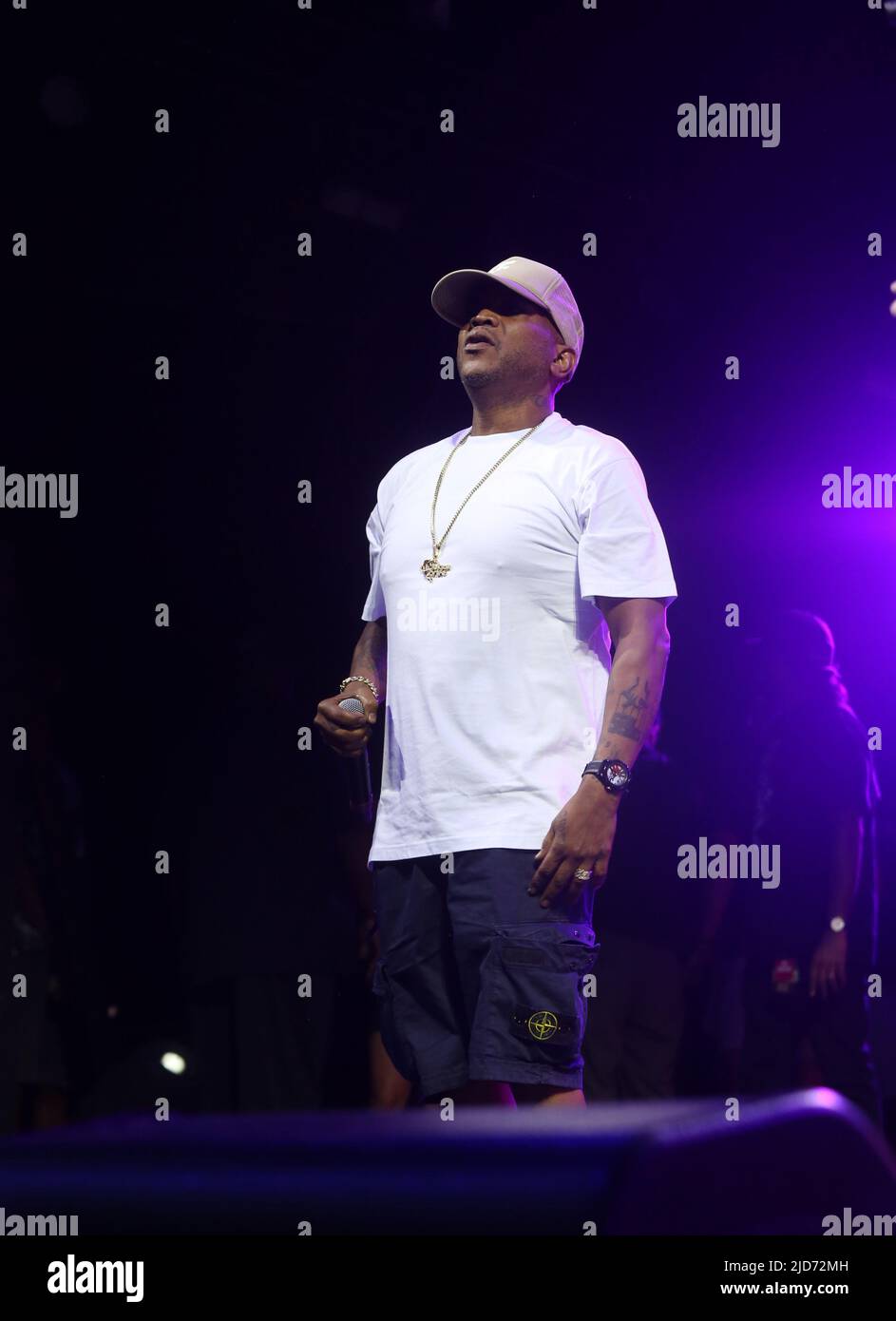 BRIC Celebrate Brooklyn! Festival, Celebrate Biggie Concert With Busta ...