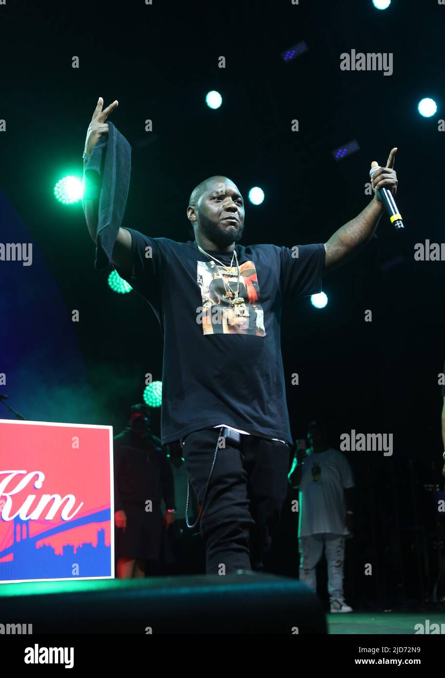 BRIC Celebrate Brooklyn! Festival, Celebrate Biggie Concert With Busta ...
