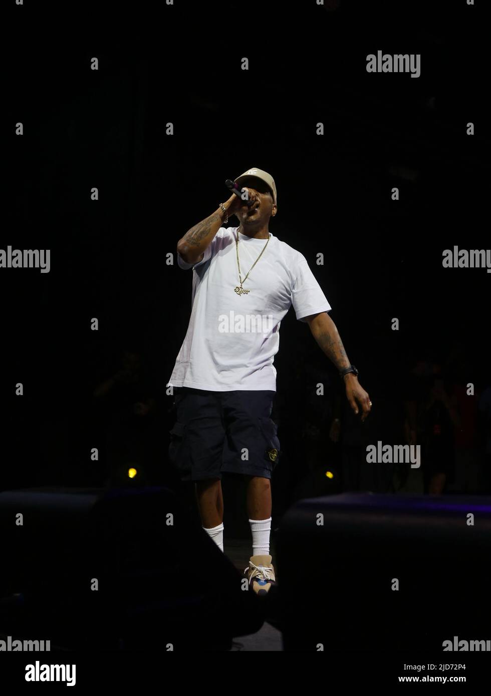 BRIC Celebrate Brooklyn! Festival, Celebrate Biggie Concert With Busta ...