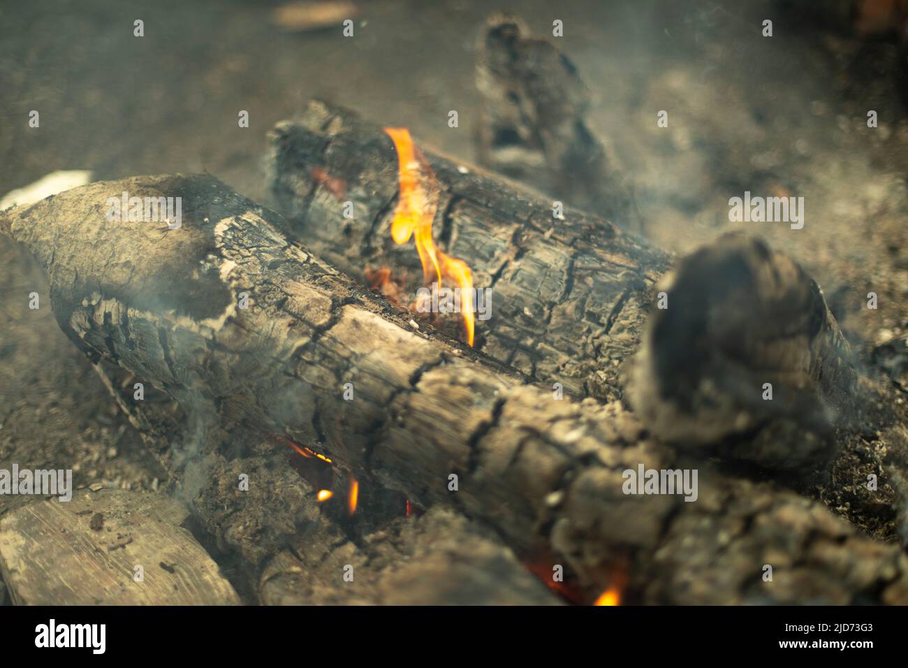 Burnt wood in fire. Flames of fire. Embers in ashes. Ashes from ...