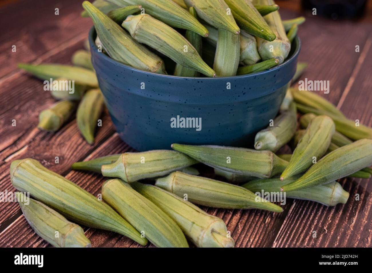 Nigerian plant hi-res stock photography and images - Alamy