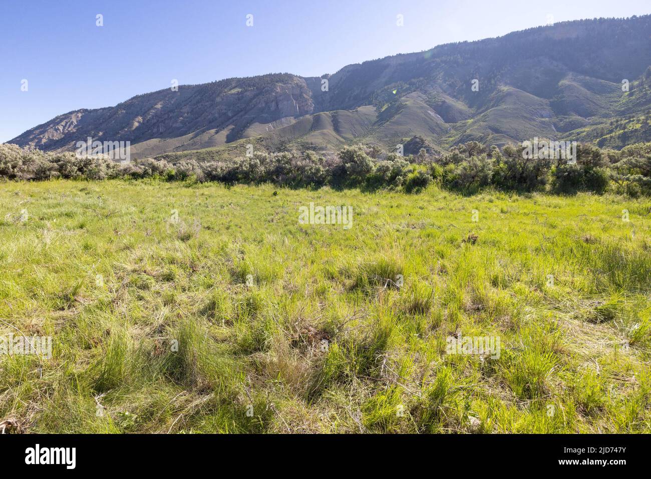 Old percolation pond hi-res stock photography and images - Alamy
