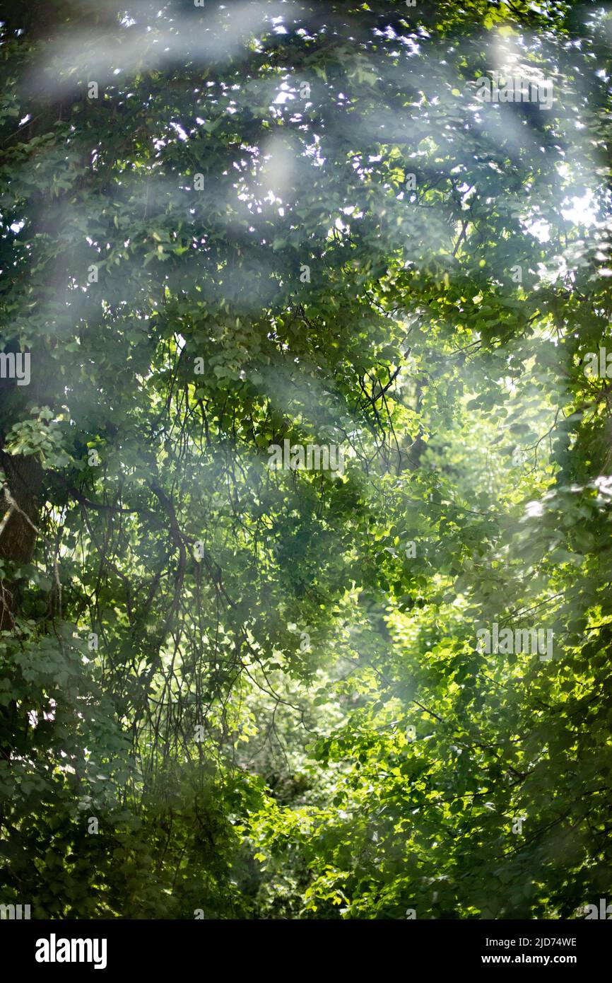 Dirty glass. View is outside window. Dust on glass Stock Photo - Alamy
