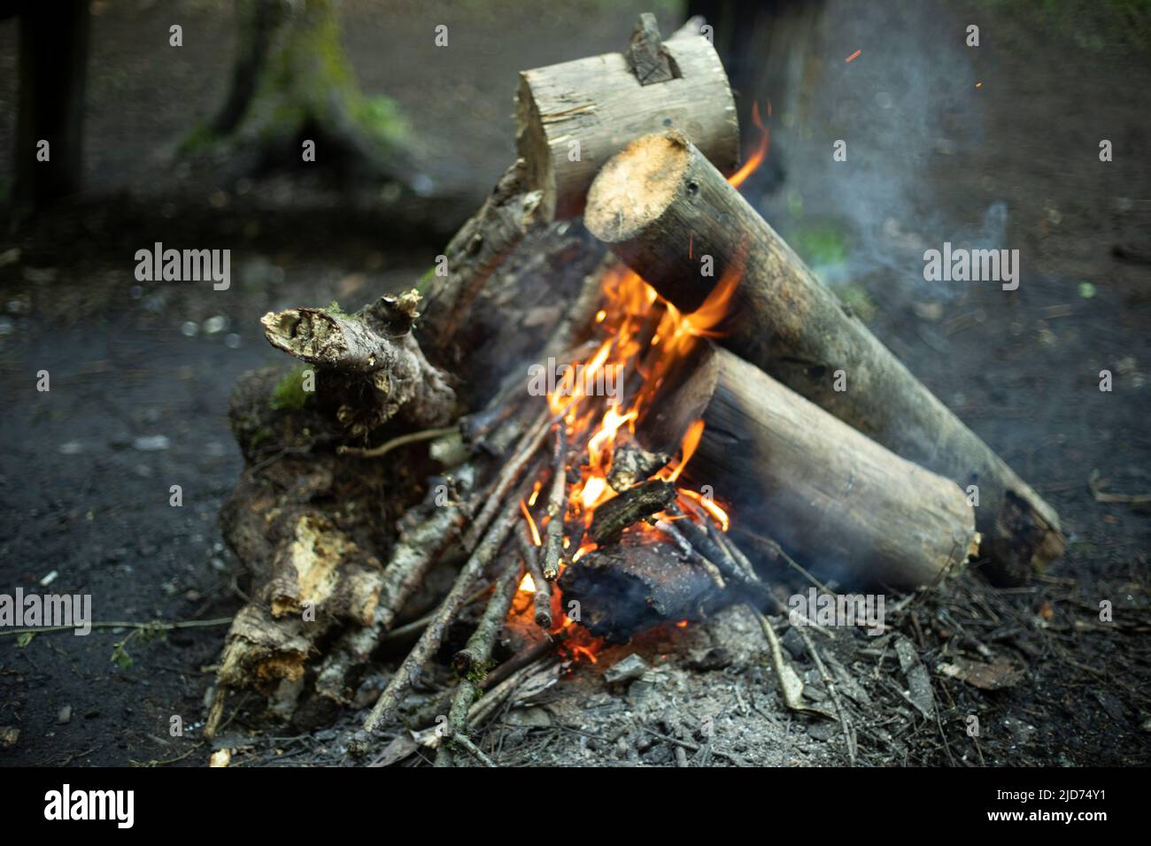 Bonfire in woods. Burning of dry branches. Burning wood Stock Photo - Alamy