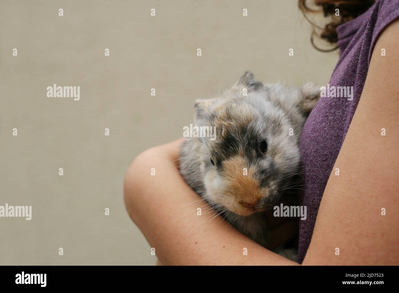 A teenage girl is holding a cute fluffy rabbit in her arms. Girl is ...