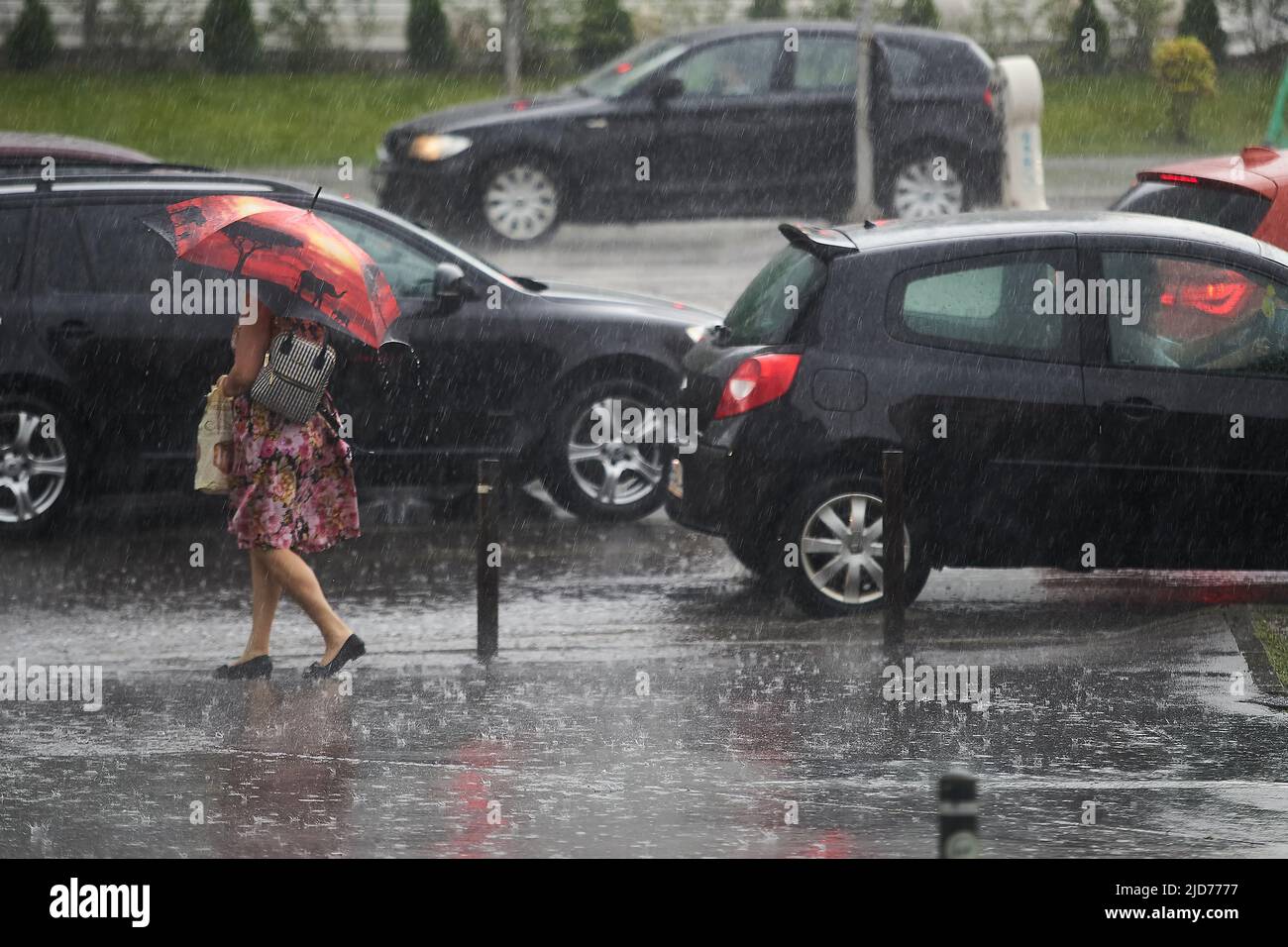 Bucharest, Romania - June 17, 2022: People cross the street during ...